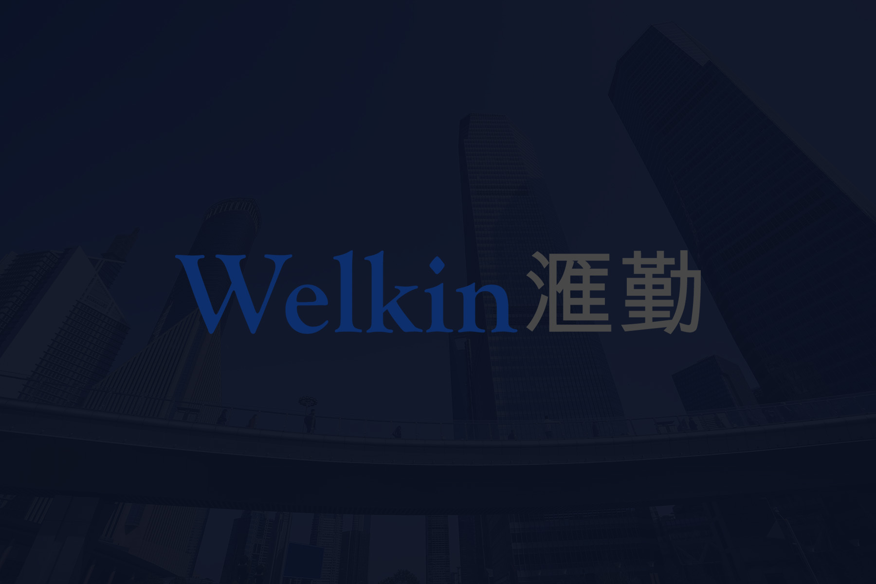 Privacy Policy – Welkin